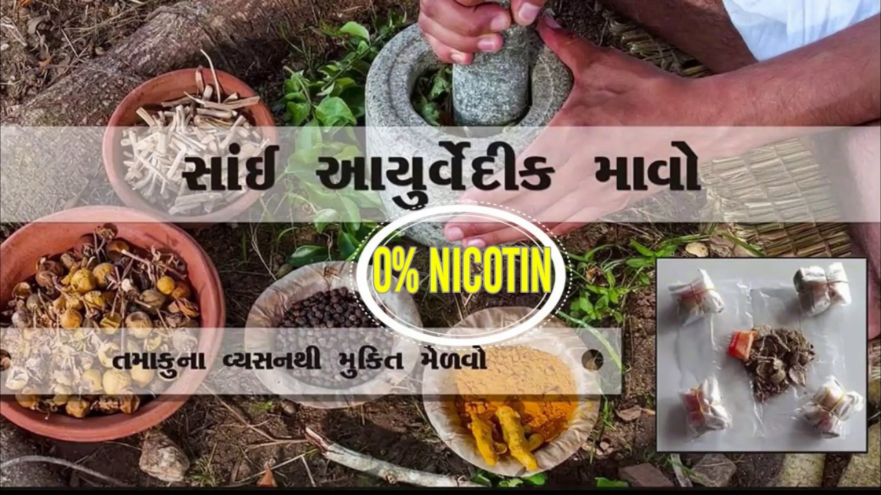 Ayurvedic mavo/herbal mavo/135 mavo /masalo/tobaccog - YouTube