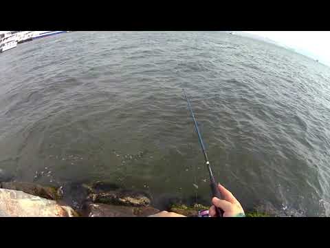 SİLİKON SAHTE İLE ÇUPRA AVI (Zman Slimswimz)