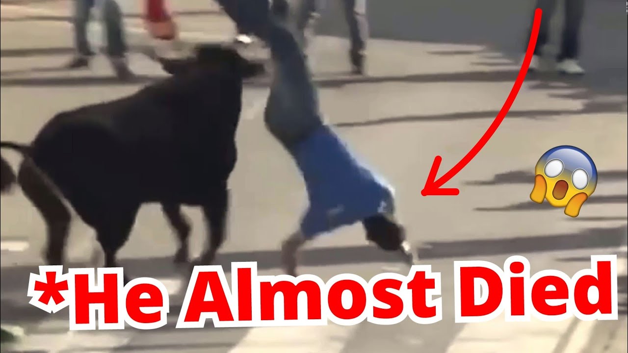 Bull Fight fails Compilation (2020): Try Not To Laugh - YouTube