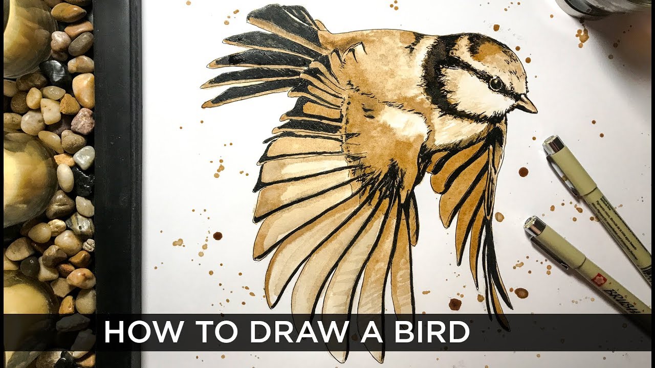 How to draw birds in pen quick - YouTube