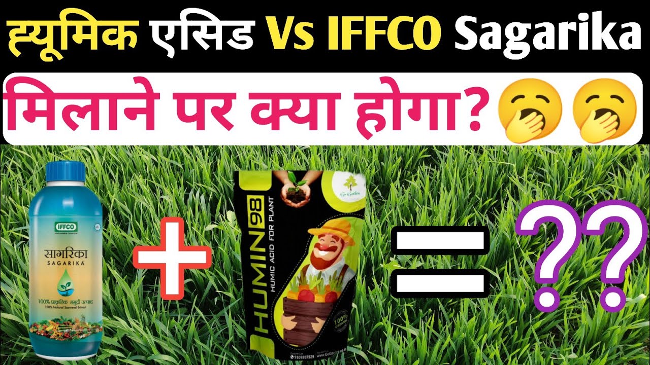 ह्यूमिक एसिड और सागरिका को मिलाने पर क्या होगा/Humic Acid vs IFFCO ...