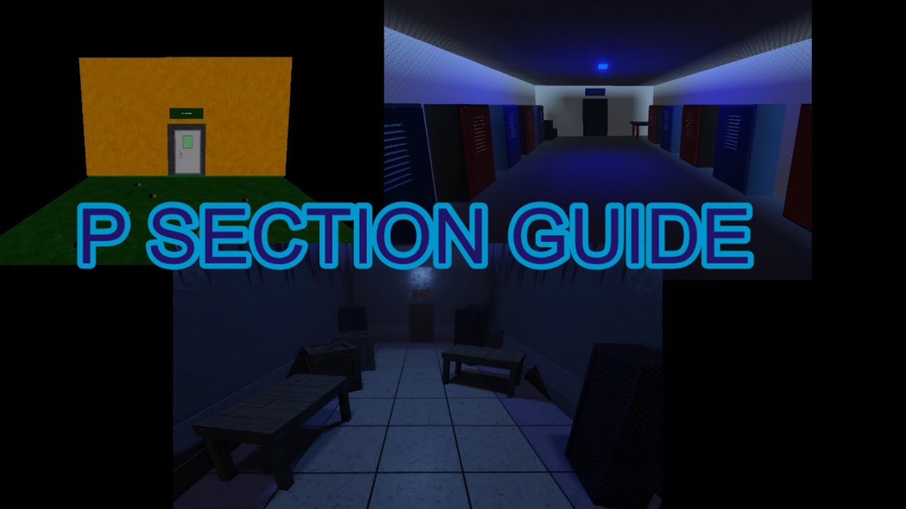p section guide - YouTube