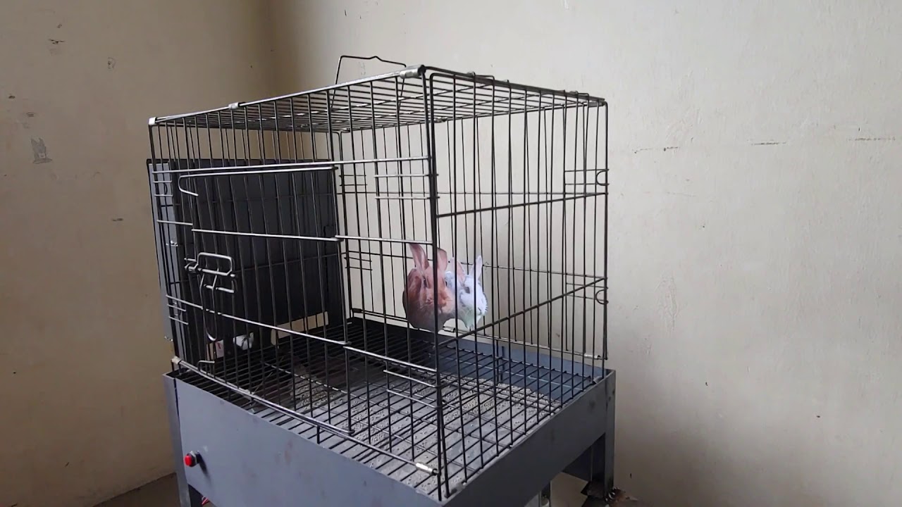 Arduino Project : Rabbit Cage Cleaning System - YouTube