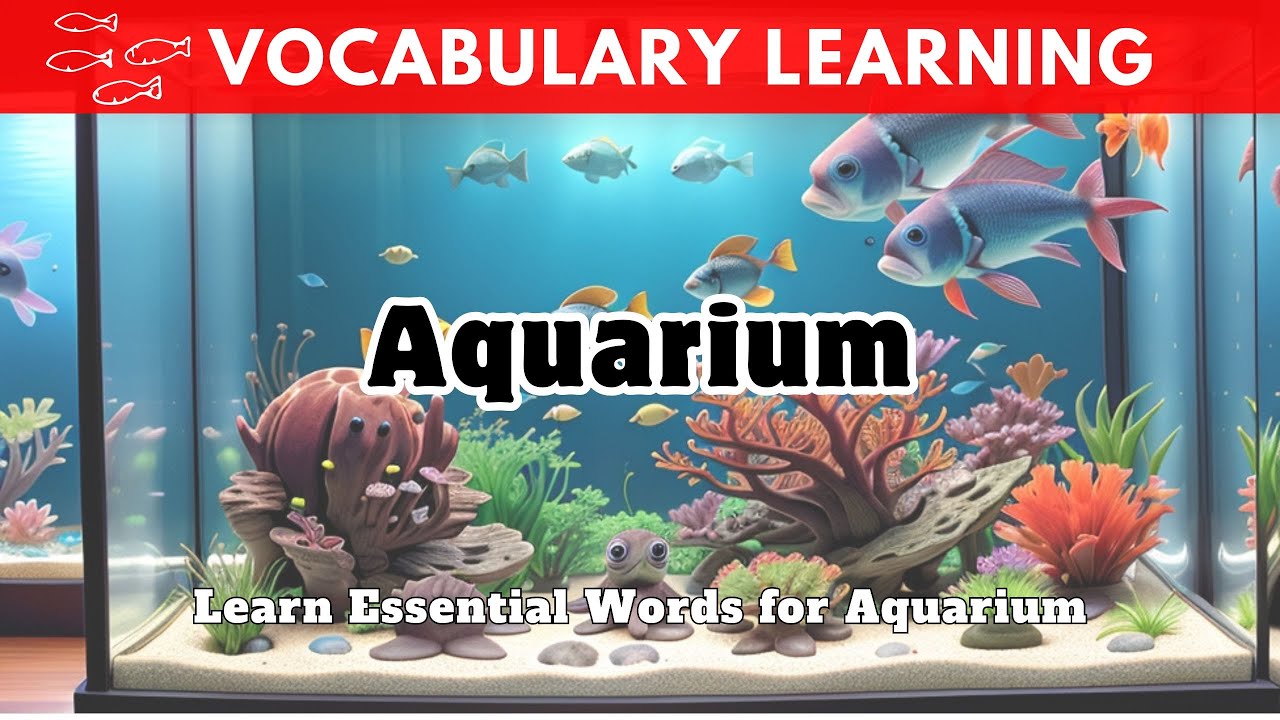Learn English Vocabulary - Aquarium 🐟🦈 - YouTube