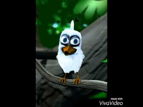 O PÁSSARO MAIS FEIO E RETARDADO DO MUNDO! - YouTube