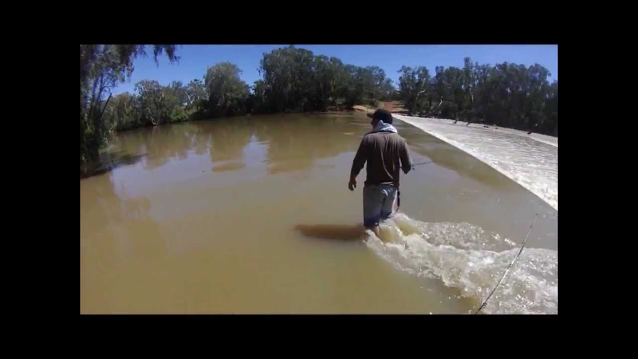 Barra at Roper Bar - YouTube