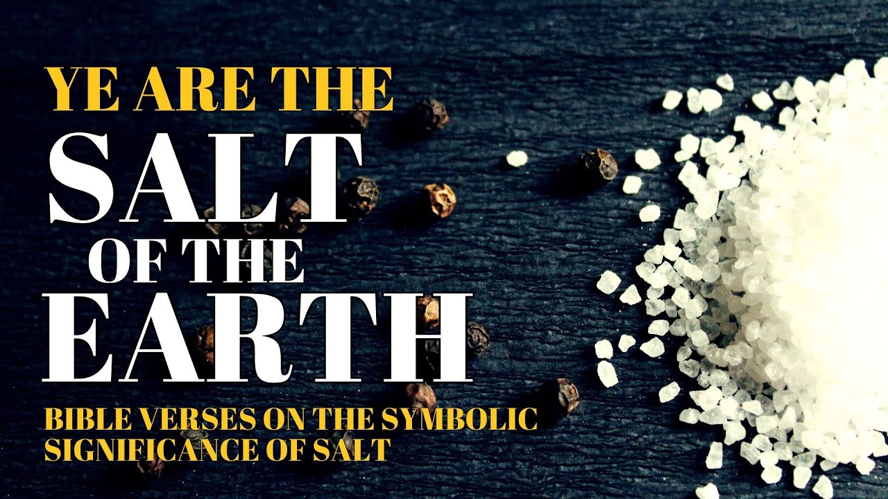 YE ARE THE SALT OF THE EARTH Bible Verses #saltoftheearth #salt #truth ...