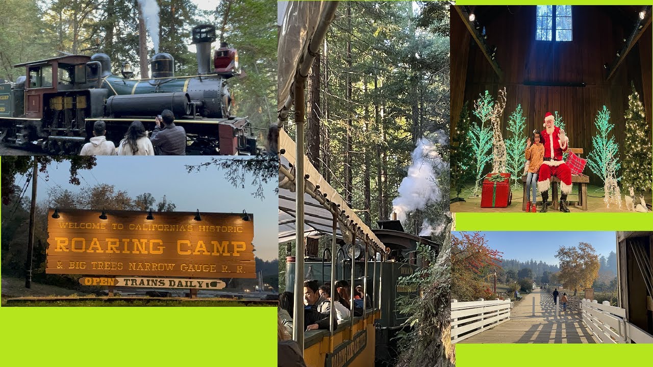 Redwoods | Roaring Camp Steam Train Ride 🚂🛤️🌳 - YouTube