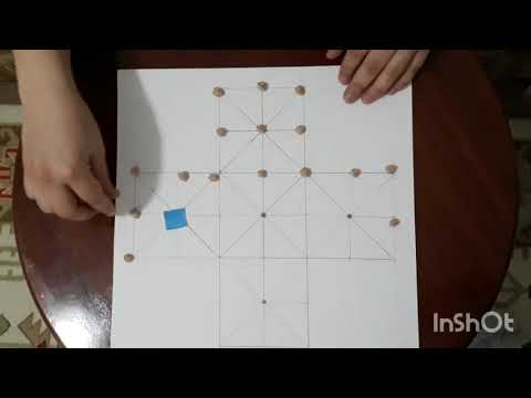 AKIL VE ZEKA OYUNLARI || Amerikan Zeka Oyunu Tilki Ve Kazlar