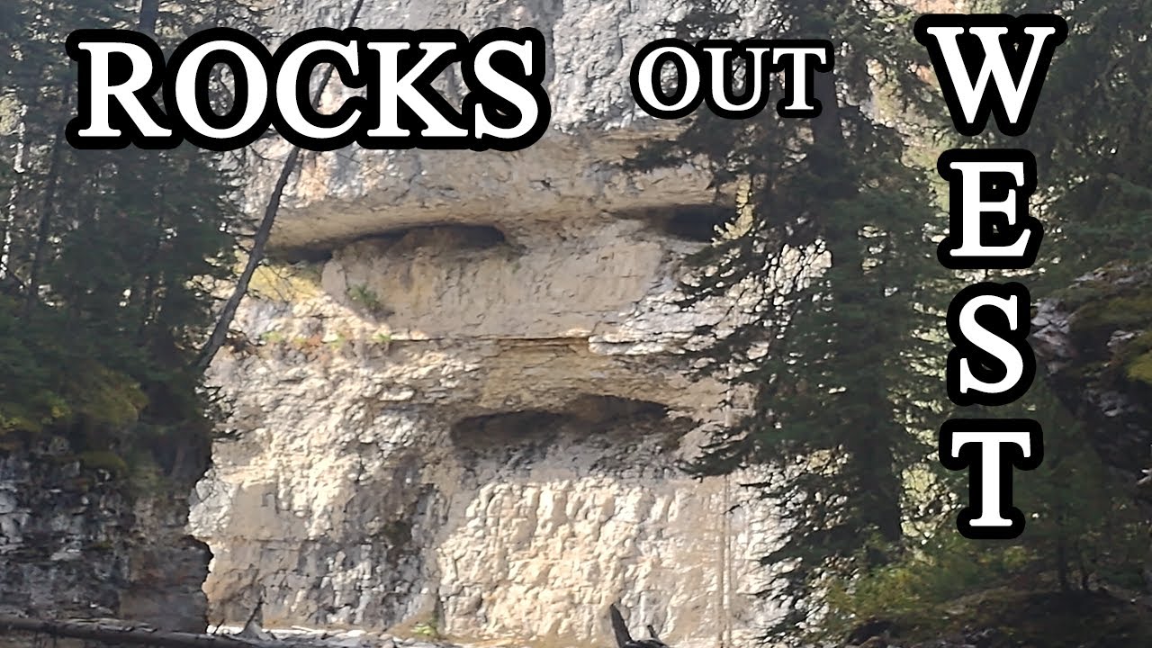 Rockhounding for western Rocks and Fossils ! #petrifiedwood - YouTube