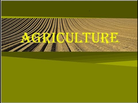 Agriculture PPT|| Geography || Class X CBSE - YouTube