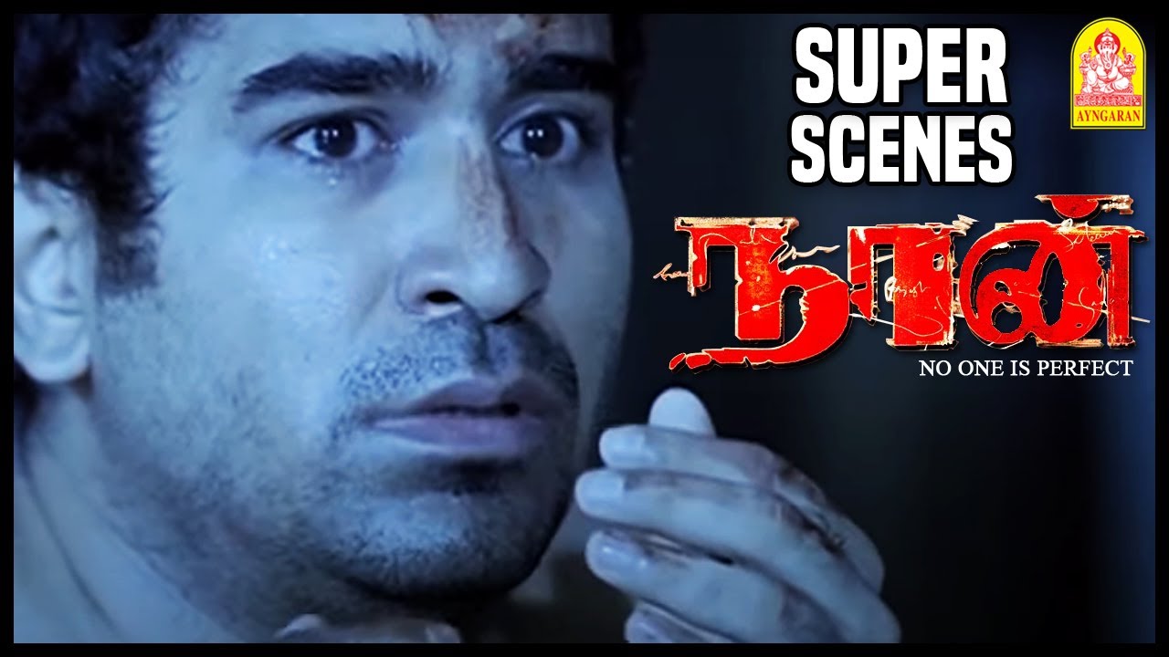 நீ எதோ பெரிய தப்பு பண்ற | Naan Tamil Movie | Vijay Antony | Siddharth ...