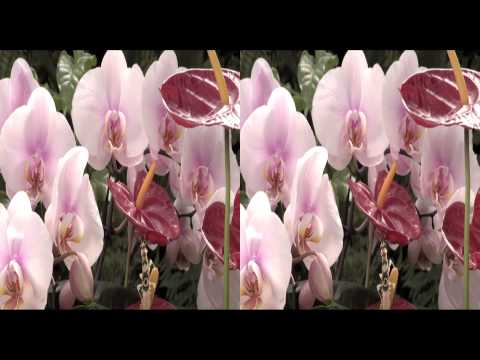 Thomas Villepoux - Stereographer Demo Reel