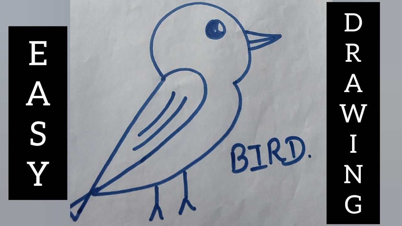 Bird Drawing For Beginners || How To Draw Bird Easy || Bird Drawing And ...
