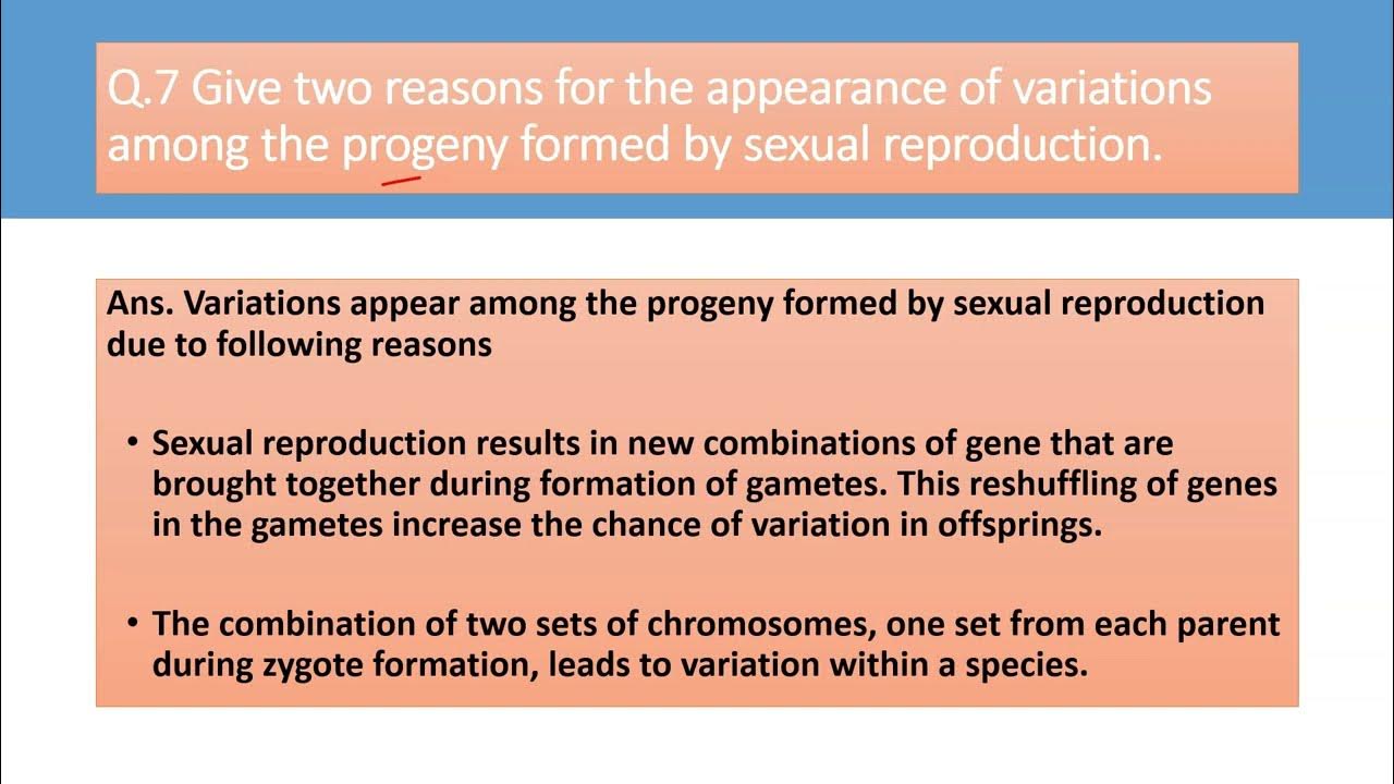 Give Two Reasons For The Appearance Of Variations Among The Progeny