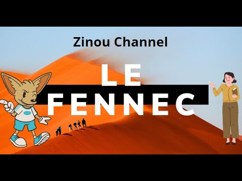 Le fennec / Compréhension de l'oral / description et présentation ...