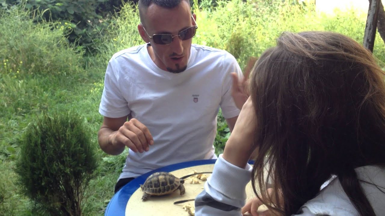 Pifqi dhe simpatia e re - YouTube