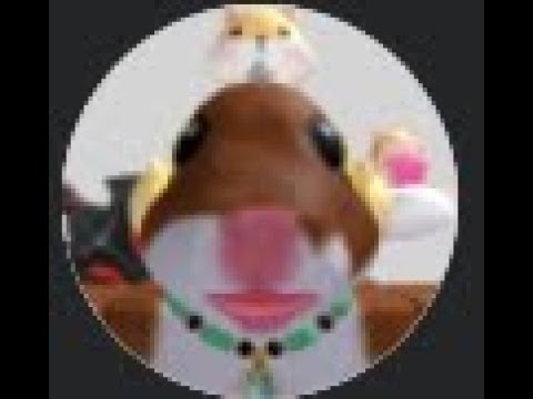 [GPO] Grinding for sb core - YouTube