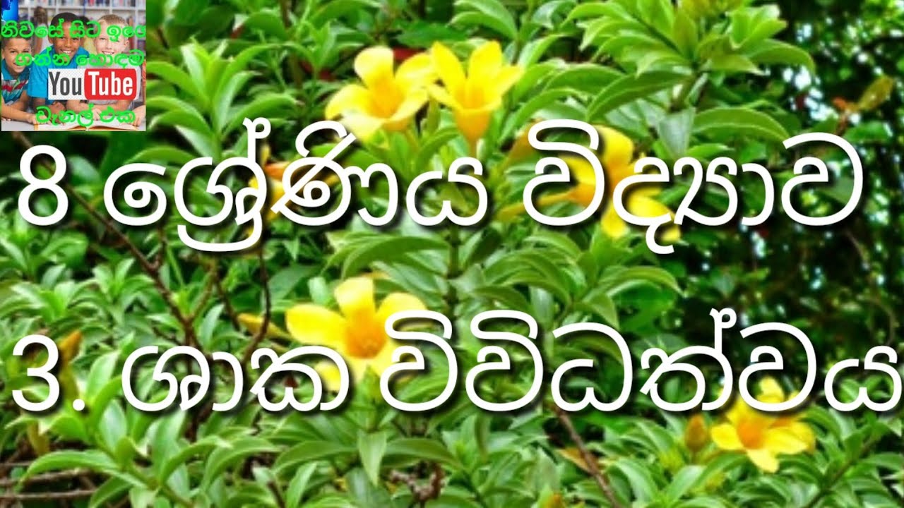 Grade 8 science in sinhala 3rd lesson #Grade8science #sinhala - YouTube