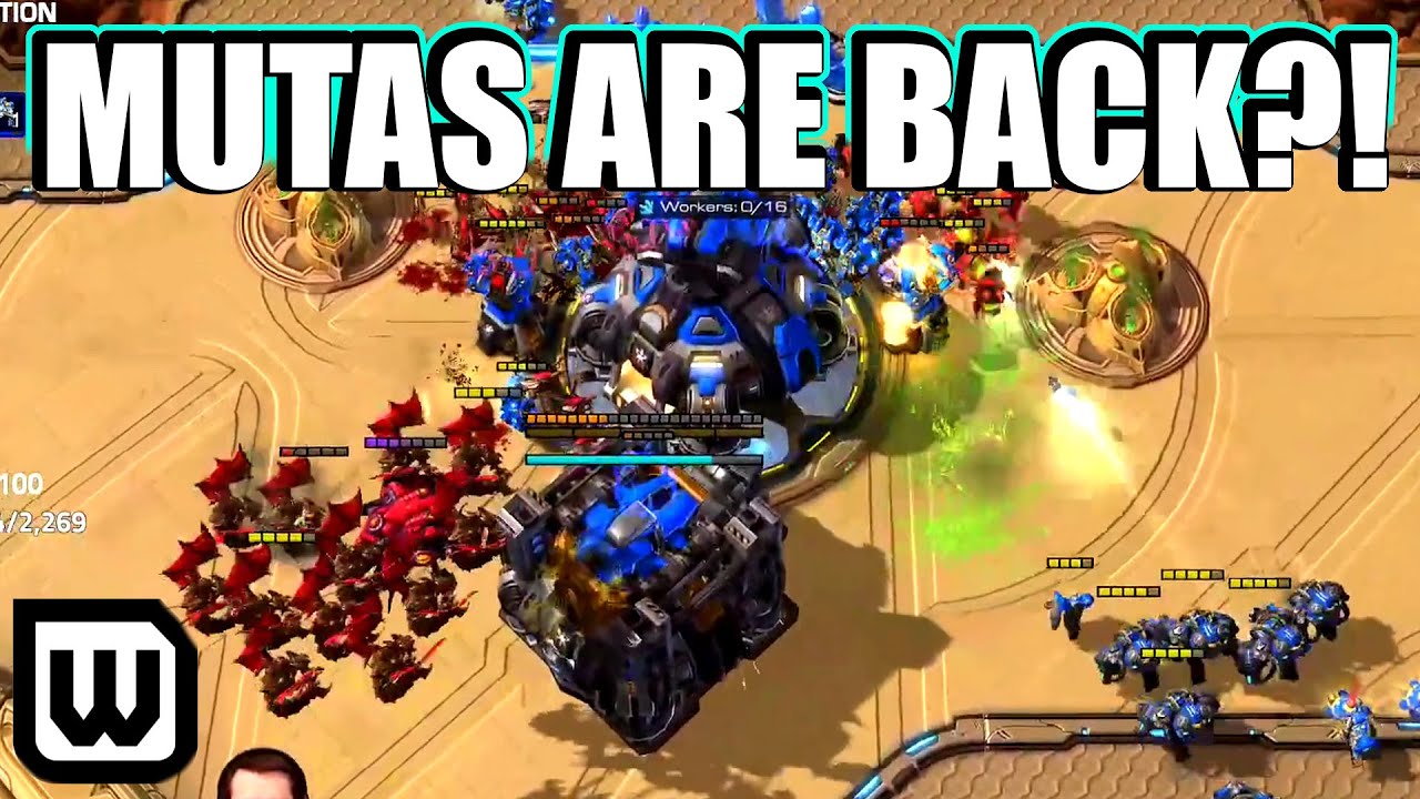 Starcraft 2: IEM Katowice 2020 (Maru vs Rogue) - YouTube