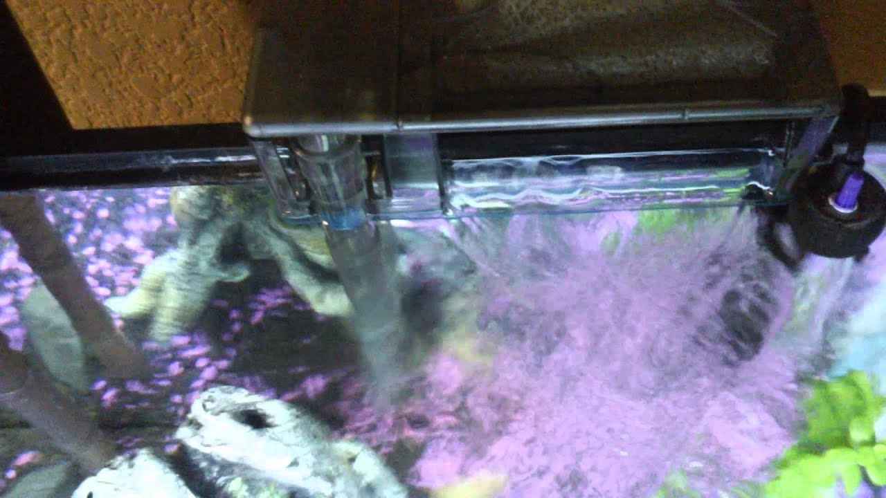 Marineland Emperor 280 or AquaClear 50 - YouTube