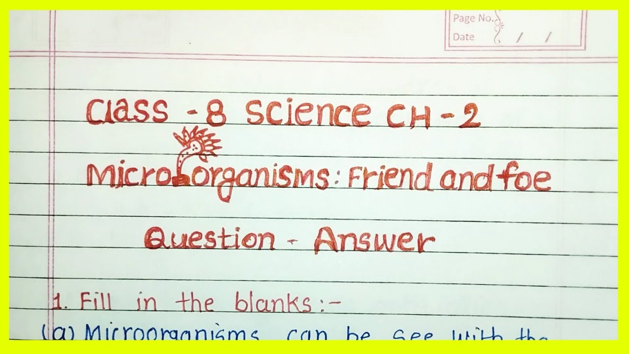 microorganisms friend and foe class 8 questions answers | class 8 ...