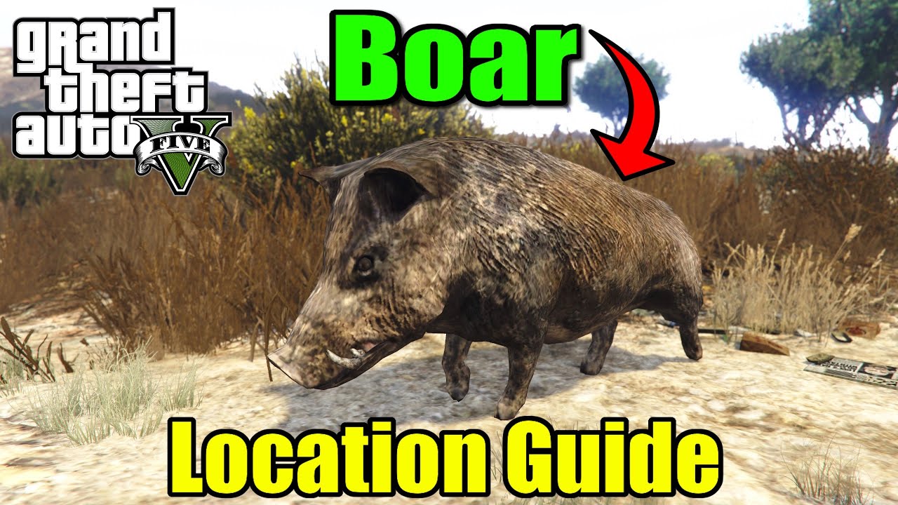 Where & How to Find Boars in GTA 5 - YouTube