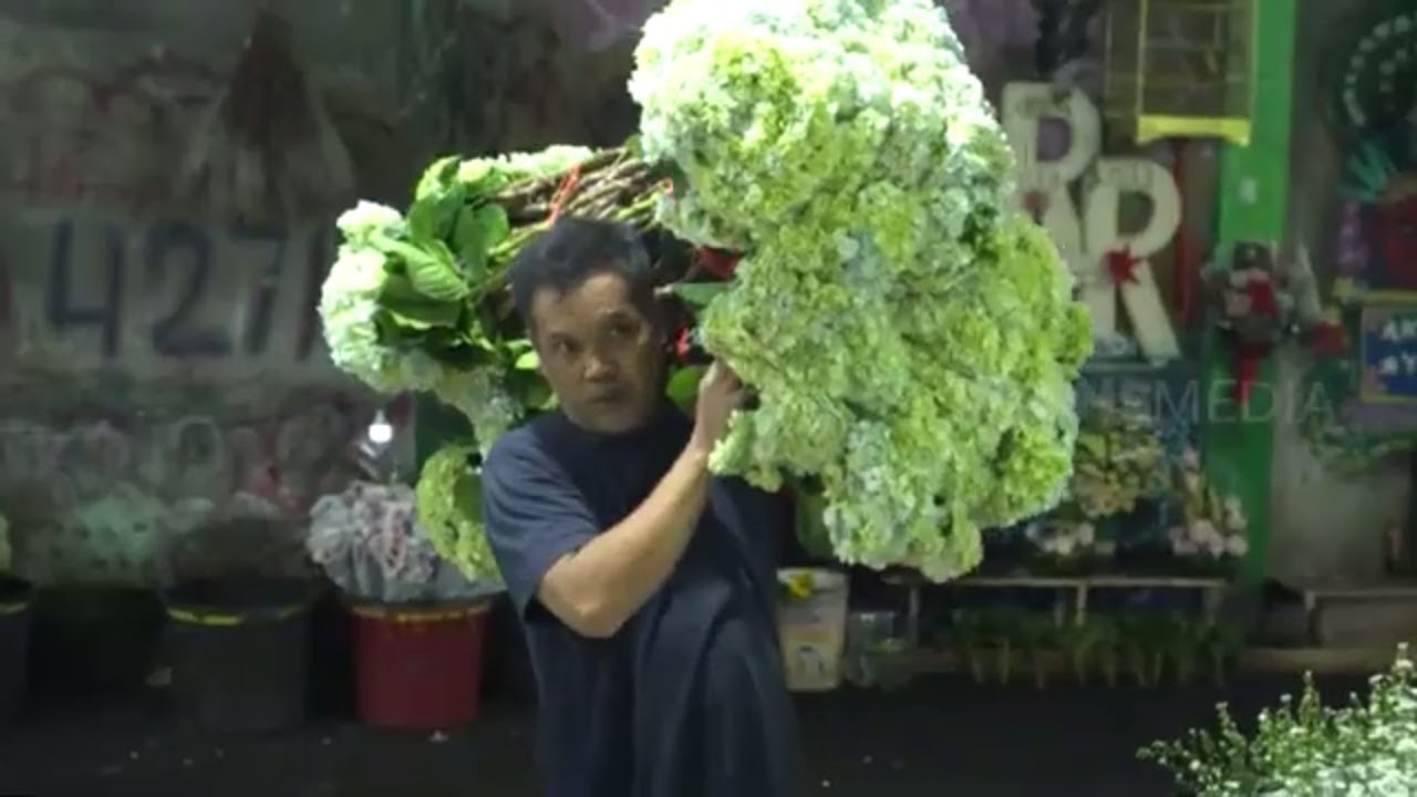 Pasar Bunga Rawa Belong Yang Legendaris | 26/01/23) - YouTube