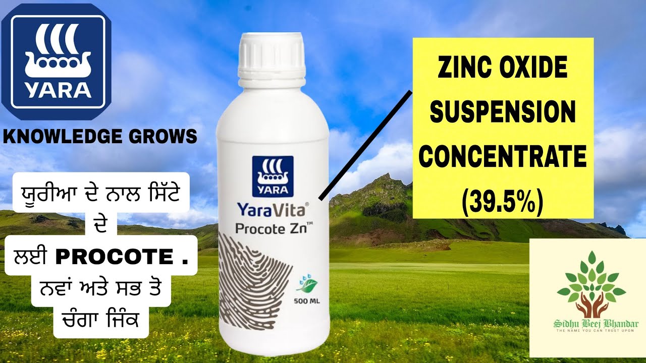 YARA VITA PROCOTE ZINC (39.5%) ਨਵੀਂ ਜ਼ਿੰਕ ਨੂੰ ਇਸਤੇਮਾਲ ਕਿਵੇਂ ਕਰੀਏ । ਪੂਰੀ ...