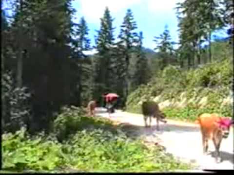 Kahraman Colak - Yol Havasi