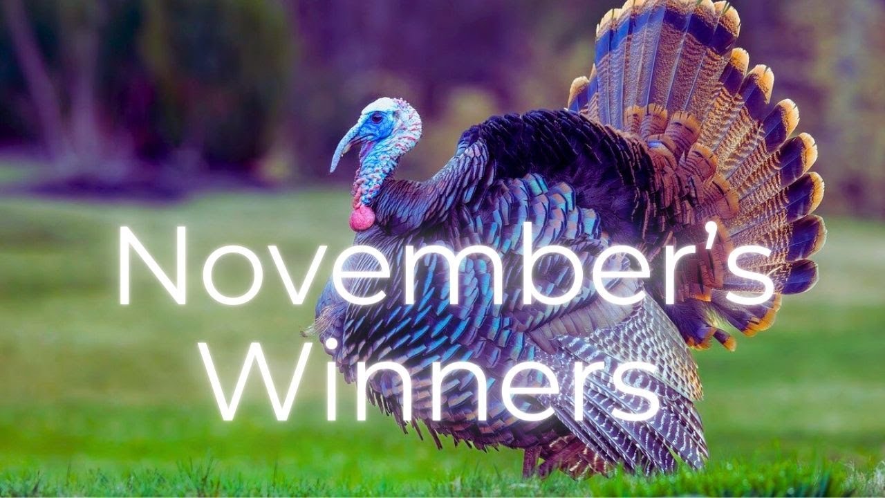 🦃🦃🦃 November Winners!!!! 🦃🦃🦃 - YouTube