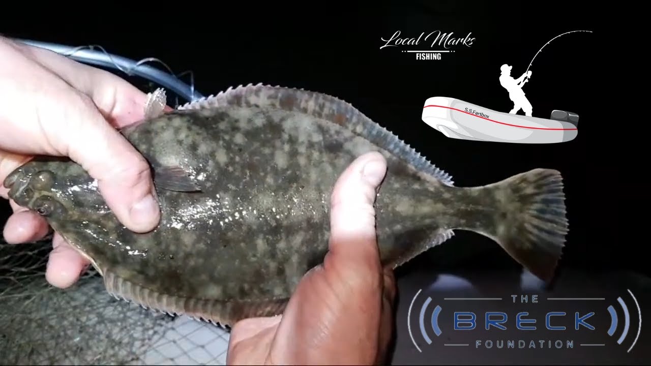 Sib Fishing SHOW!! With Flounder Spotting! - YouTube