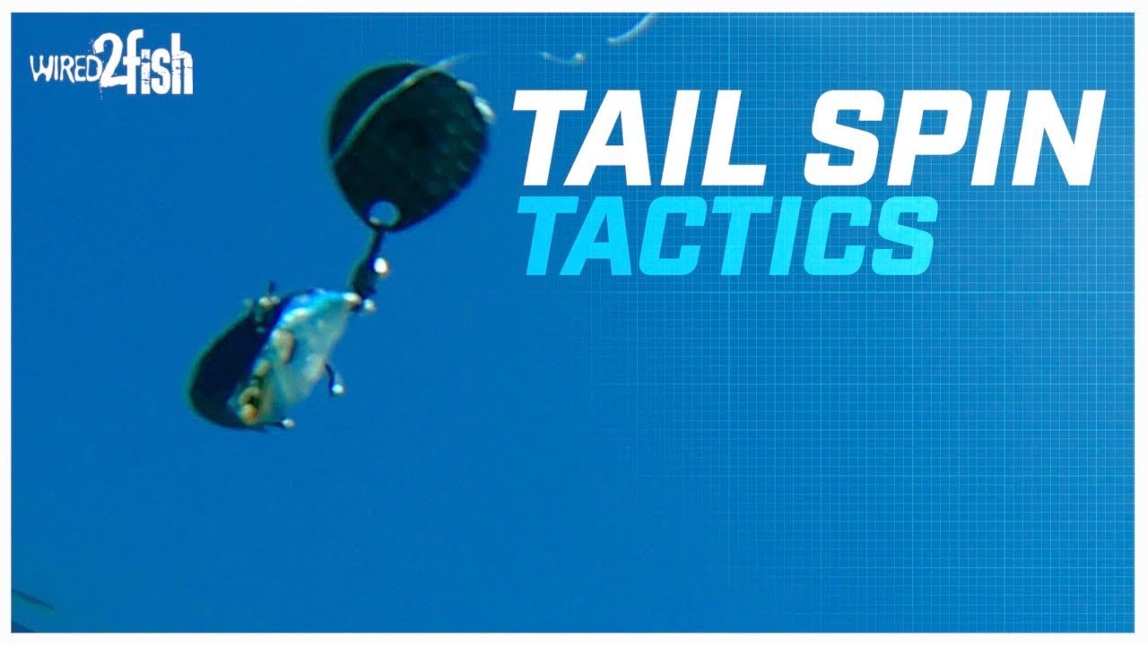 How to Fish Tail Spin Lures for Bass on Steep Edges - YouTube
