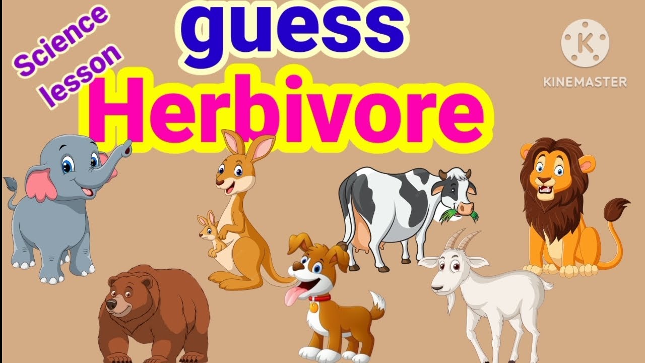 science Lesson Herbivore||kids vedios Lesson for KG class||#fun #with # ...