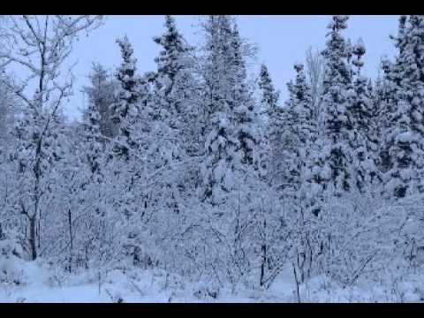 Leon Crane - YouTube