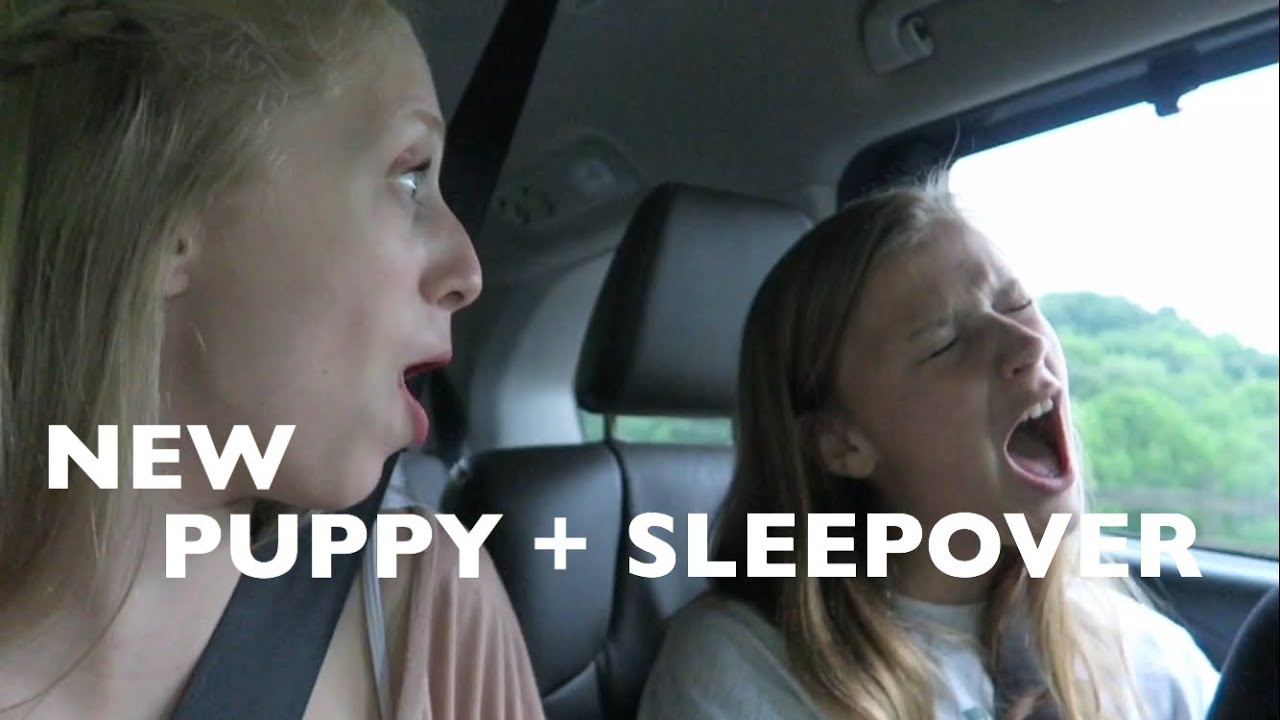 NEW PUPPY + SLEEPOVER W/ RUBY | simply vlogs - YouTube