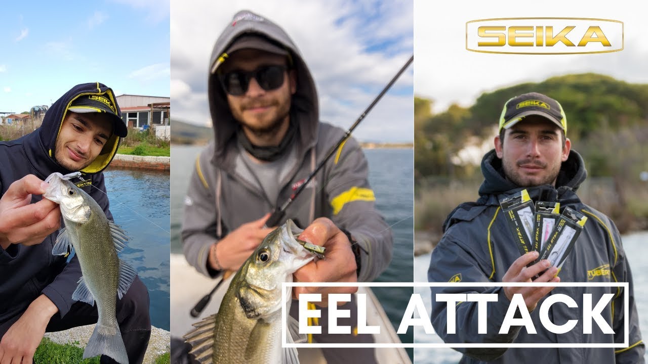 Seika EEL ATTACK | SPOT | Spinning Fishing | HD - YouTube