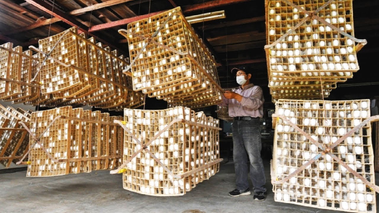 The Art of Harvesting & Processing Silk Cocoons in Japan, Raising ...