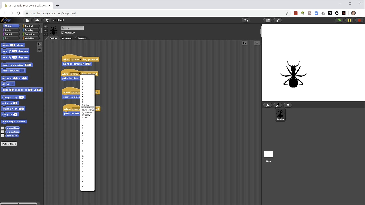 Eine Ameise im Labyrinth (Programmieren mit Snap) - YouTube