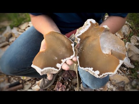 Spalling Odd-Shaped Coral Heads; Flint-Knapping Raw Florida Coral ...