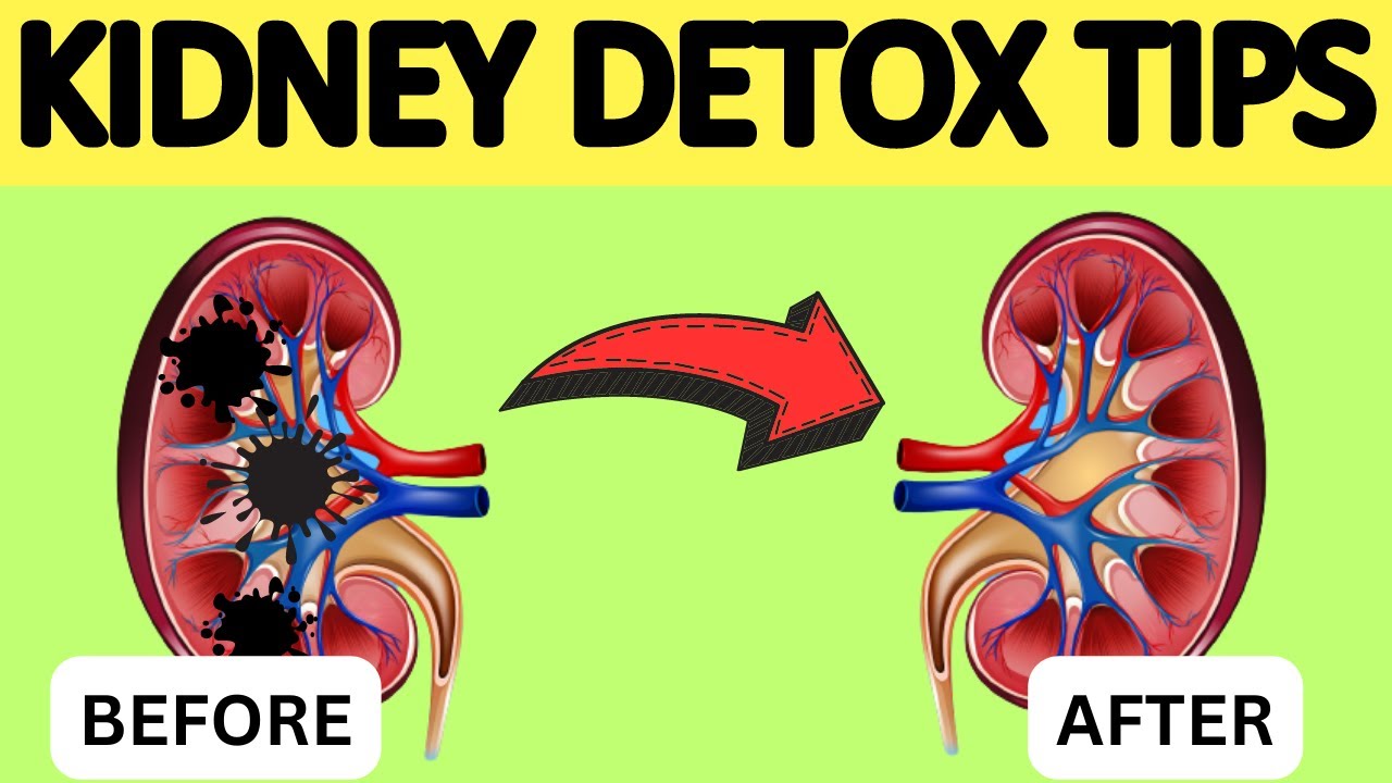 7 Natural Ways to Detox and Cleanse Your Kidneys - YouTube