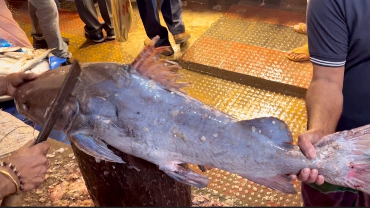 Incredible Giant Catfish Cutting In Fish Market | Fish Cutting Skills ...