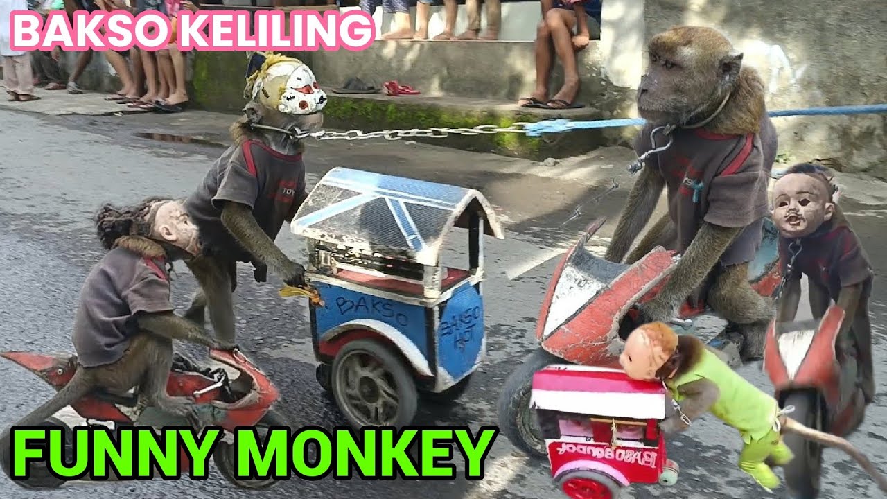 Funny monkey, topeng monyet lucu jual bakso keliling - YouTube
