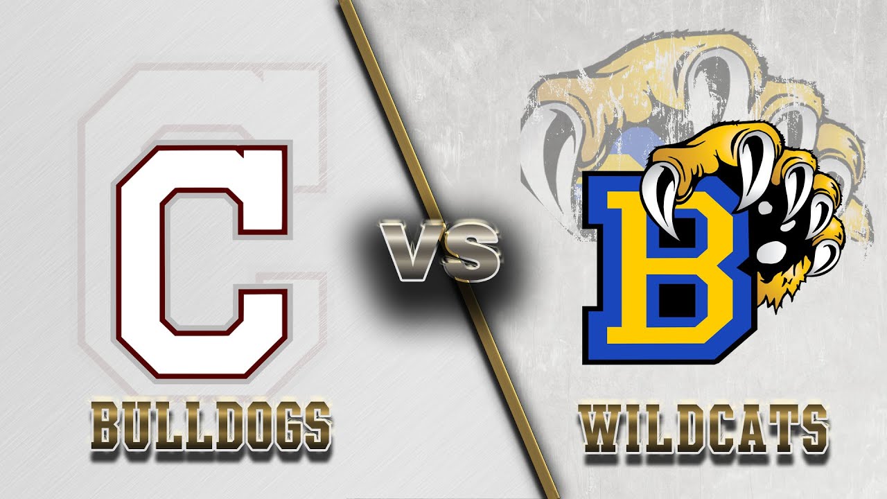 Brawley Wildcats Logo