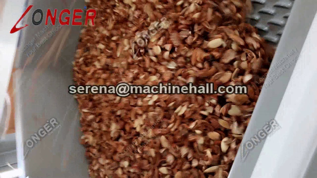 Moroccan Nuts Shell and Kernel Separating Machine|Olives Seeds Separator - YouTube