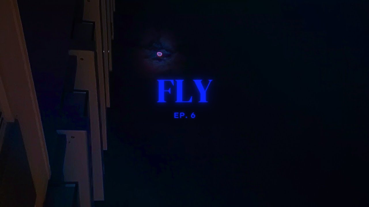 FLY - FLY - YouTube
