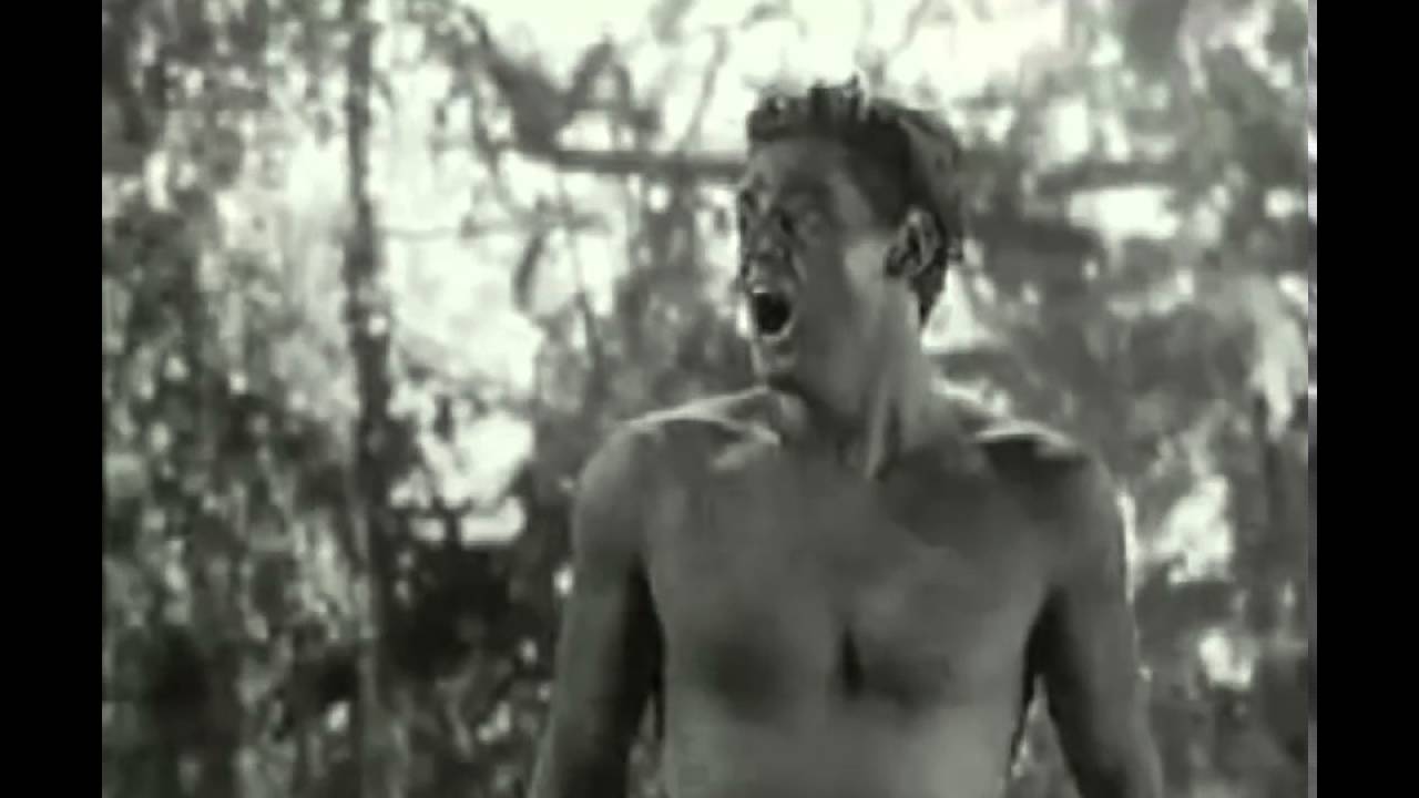 tarzan aw Johnny Weismuller Tarzan Call by Dalai Lala - YouTube