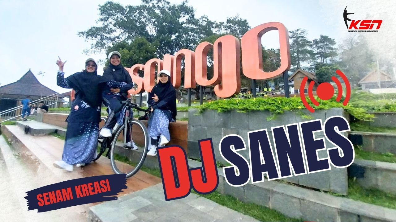 SENAM DJ SANES - YouTube