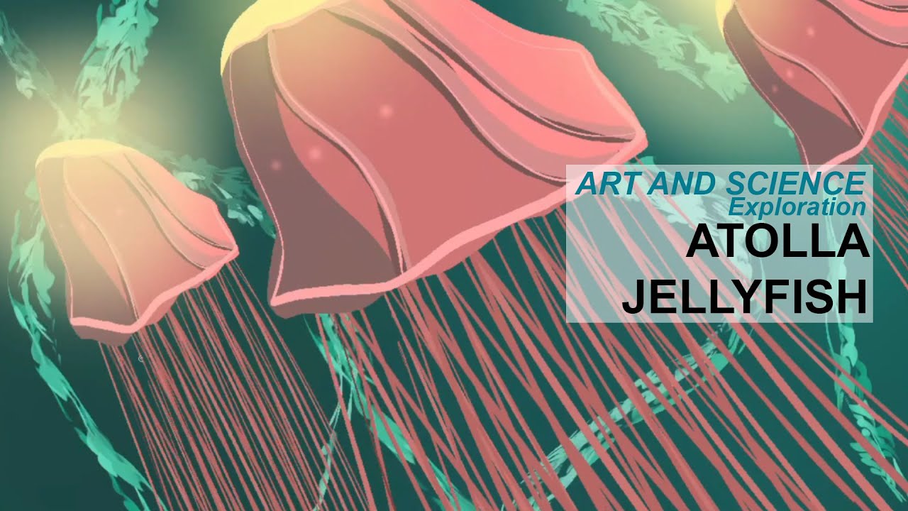 Art and Science - ATOLLA JELLYFISH - YouTube