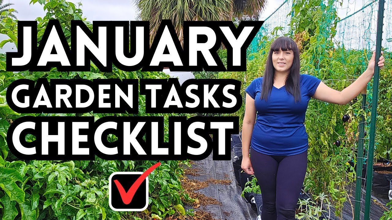 10 Garden Tasks You MUST Do In January To Keep Your Garden Productive ...